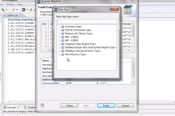 Creating a Metadata File for a CSV Data File Demonstration [video] - IRI
