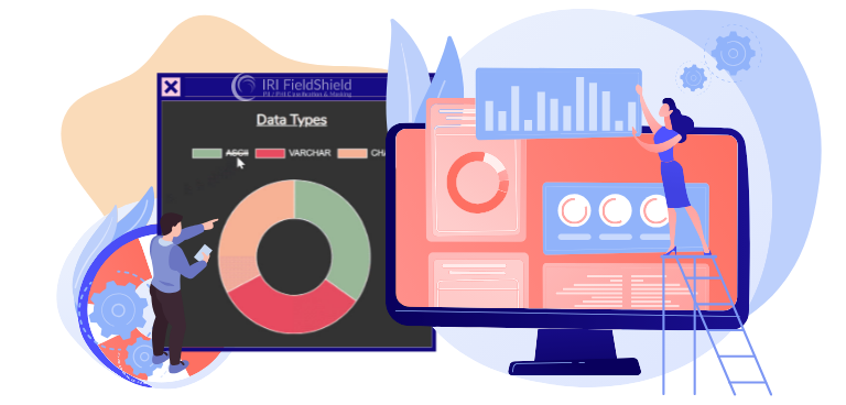 FieldShield PII Discovery Charts - IRI