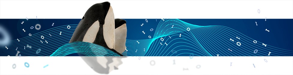 IRI Data Governance - IRI